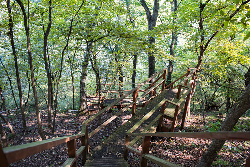4 Bedroom River Ridge Cabin | Wilderness Resort Wisconsin Dells