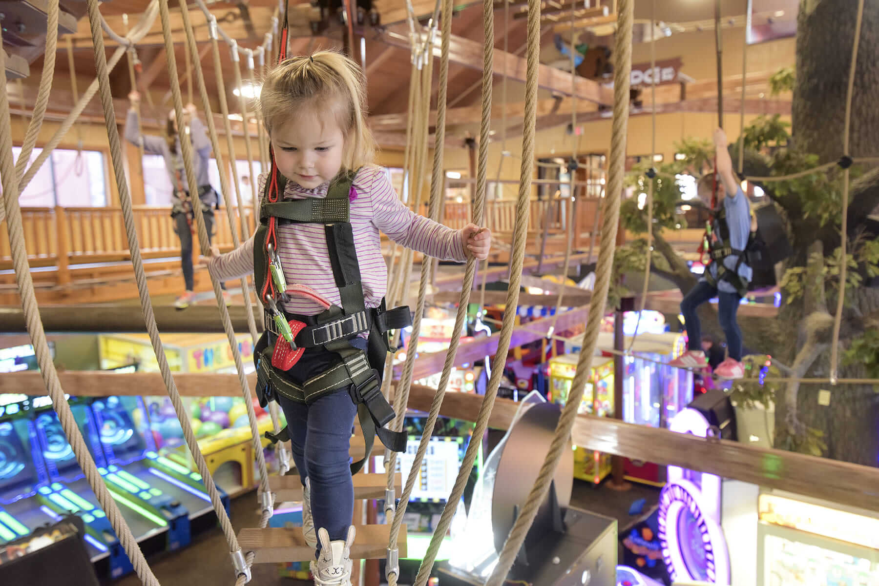 Northern Lights Sky Ropes Course - Wilderness Resort Attractions