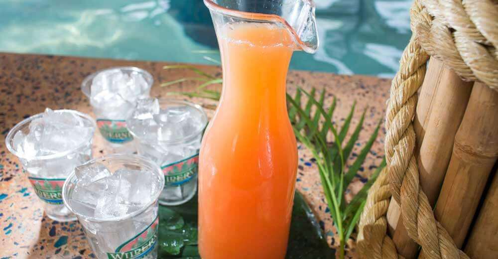 Waterpark Eateries - Wilderness Resort