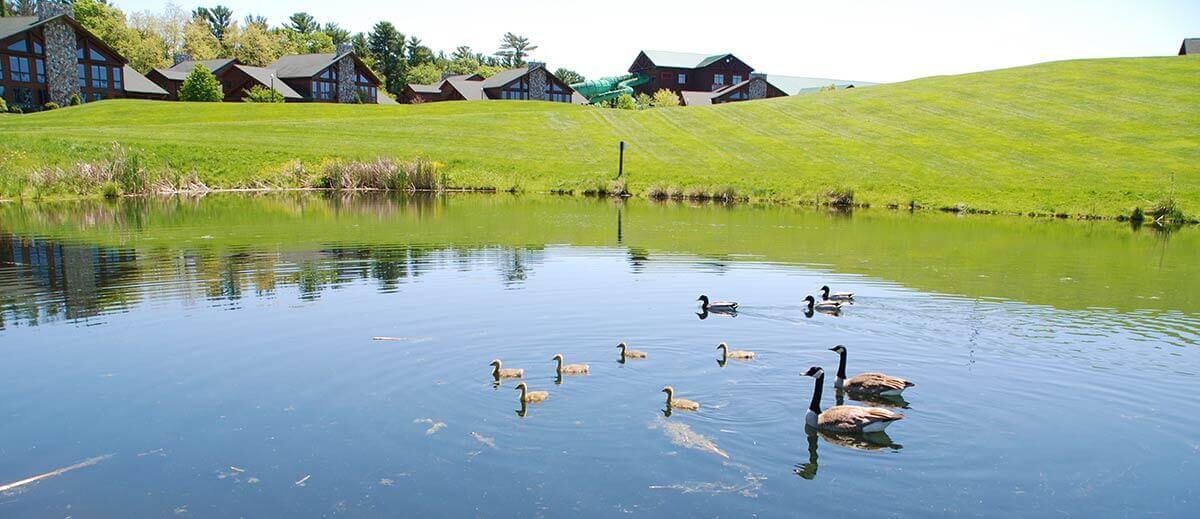 Wilderland Park - Wilderness Resort