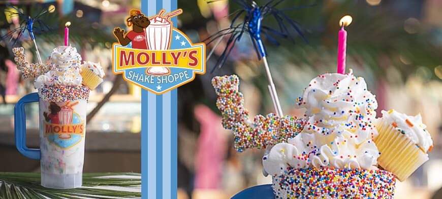 Introducing Molly’s Shake Shoppe! - Wilderness Resort