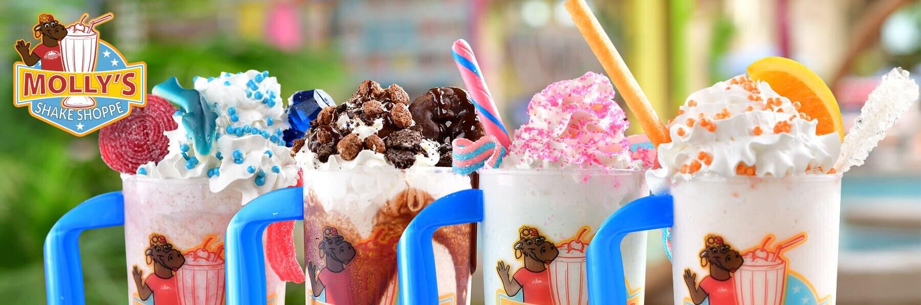 Molly's Shake Shoppe - Wilderness Resort