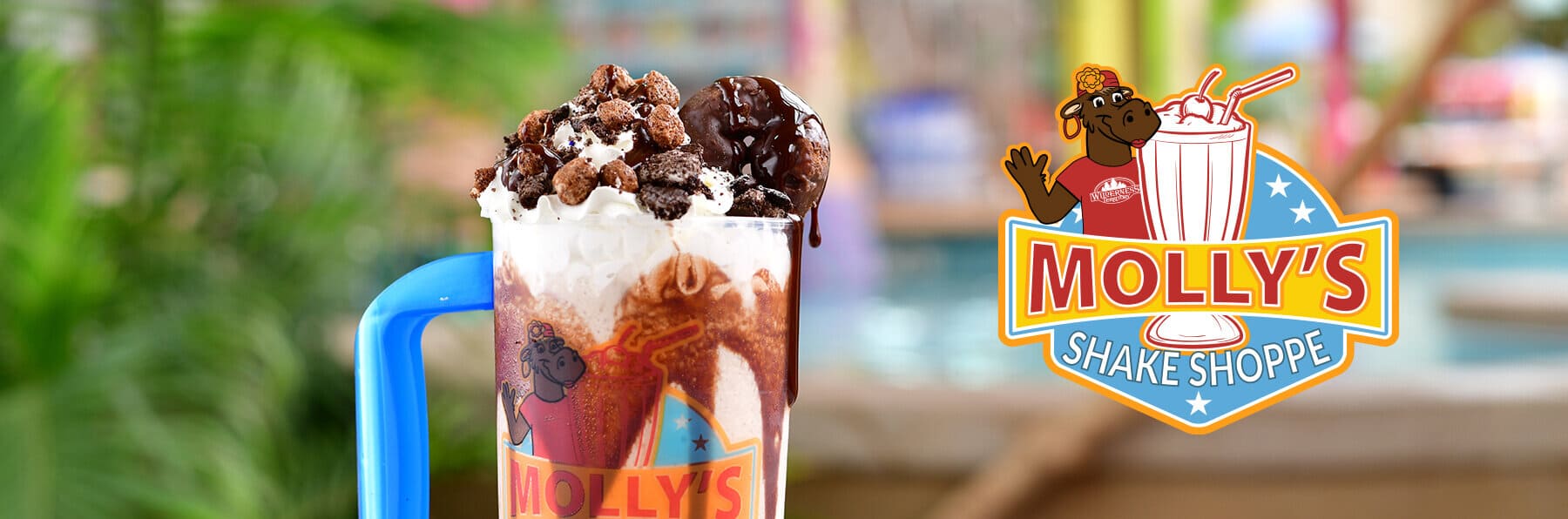 Molly's Shake Shoppe - Wilderness Resort