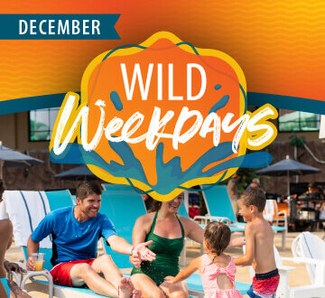 Specials & Packages - Wilderness Resort